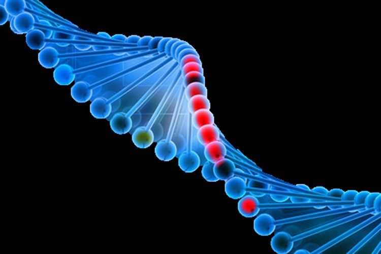 China crea raza de mutantes